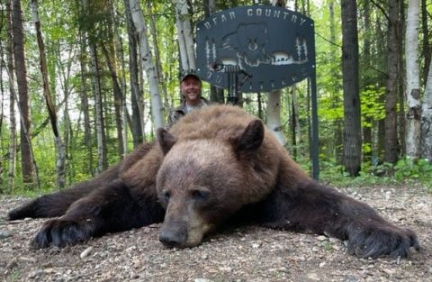 Bears vs Deer - Bear Country Outfitters | Hudson Bay, SK